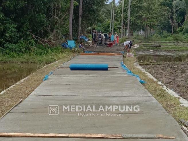 Pekon Sukajadi Mulai Bangun Jalan Rabat Beton Pekon Sukajadi Mulai Bangun Jalan Rabat Beton